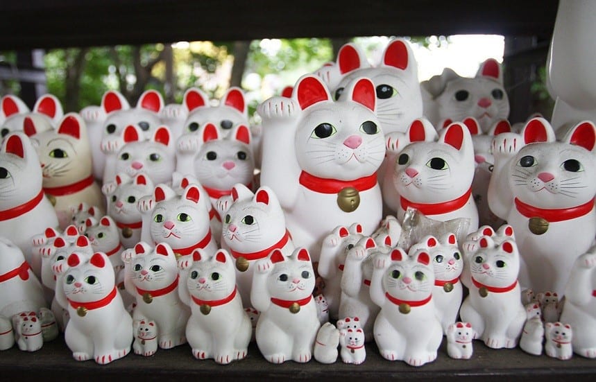 Cat Lover's Paradise – The Japanese Shop